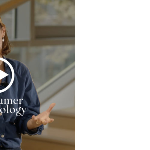 Institut Français de la Mode | Paris fashion school